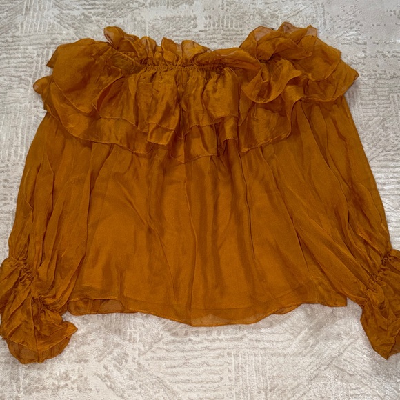 Alice + Olivia | Tops | Alice Olivia Ruffled Sheer Blouse In Rust ...